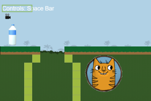 Idle Bottle Flip Simulator