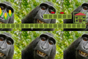 monkey is against diet