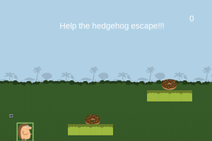 hedgehog run