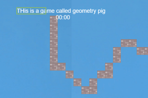 Geometry pig