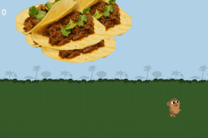 its raining tacos