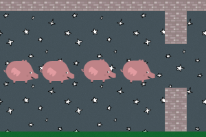 MOON PIGS!!!