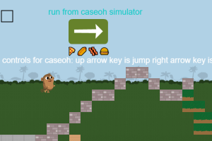 RUN FROM CASEOH SIMULATOR