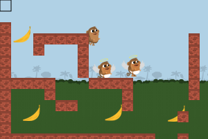 monkey