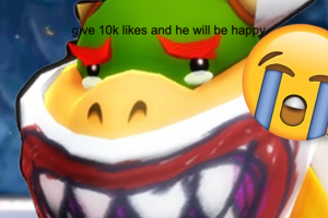 pls do it. HE'S BOWSER JR!