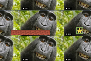 Hard MONKEY run (not impossible)