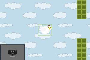 Flappy chicken